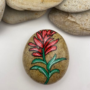 Indian Paintbrush Painted Rock, Hand Painted Rock, Flower Rock - Etsy