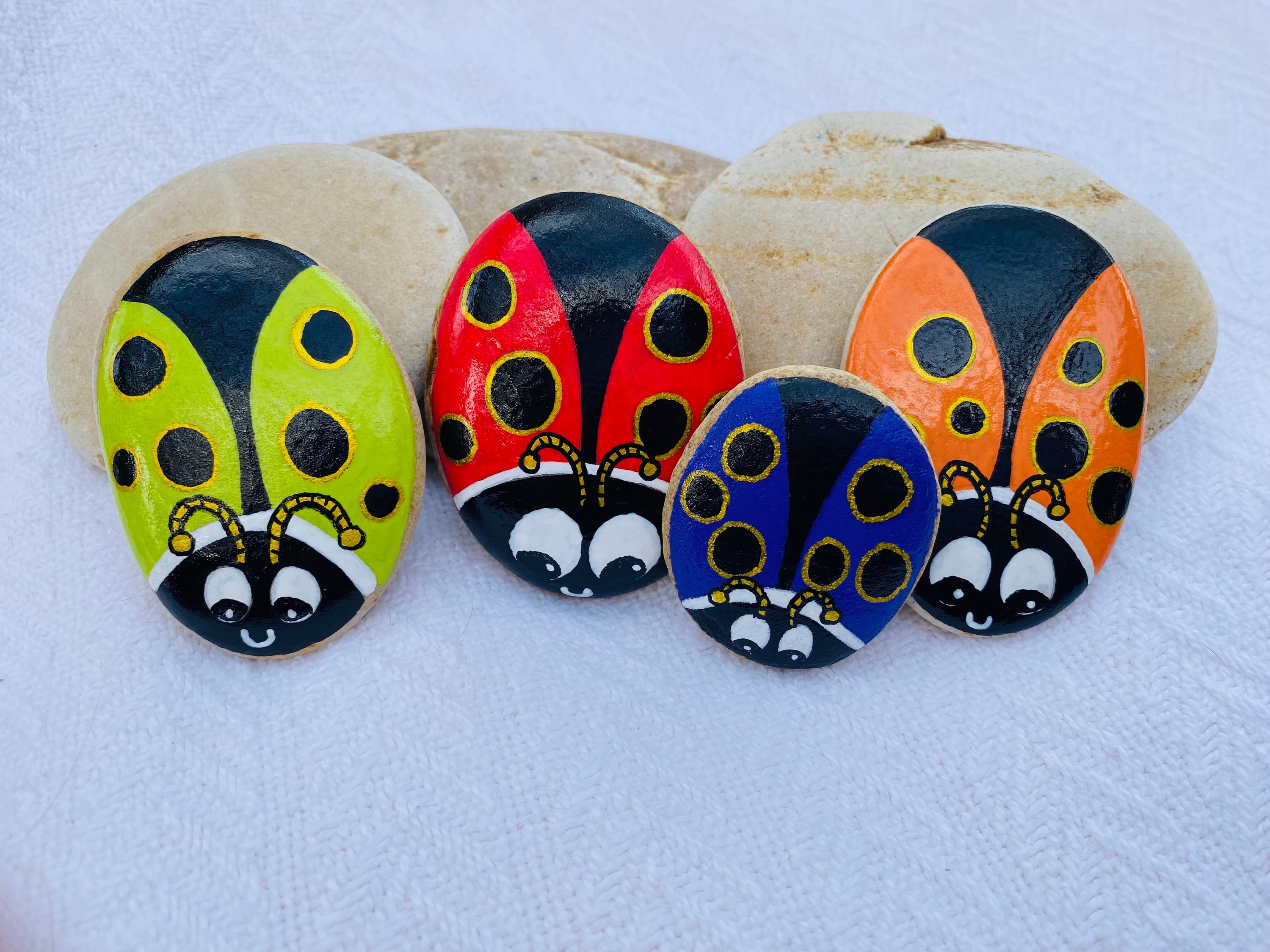 Lady Bug Painted Rock Set, Painted Rocks, Garden Rocks, Painted Bugs ...