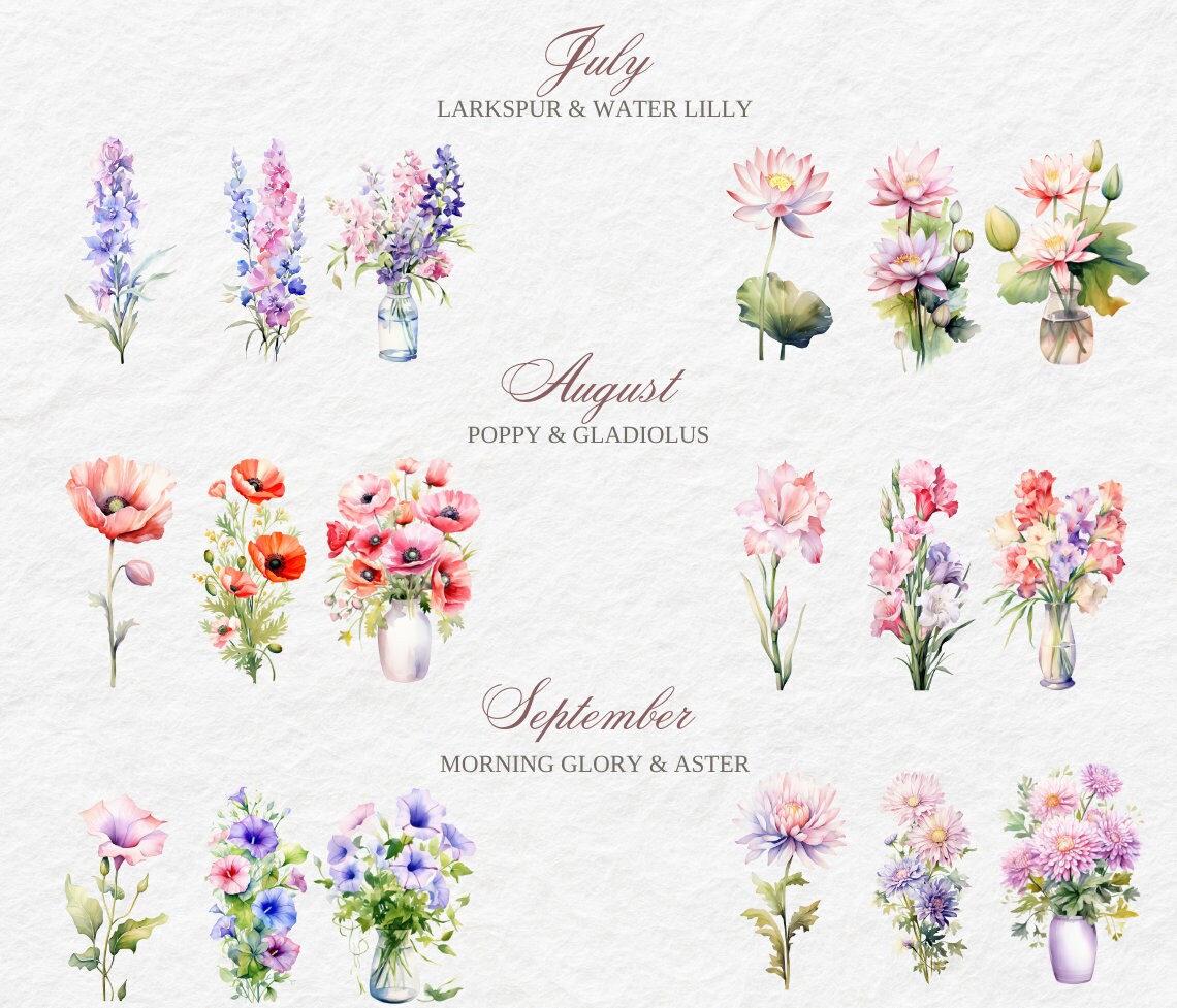 Watercolor Birth Month Flower Clipart, Floral Bouquet PNG (digital ...