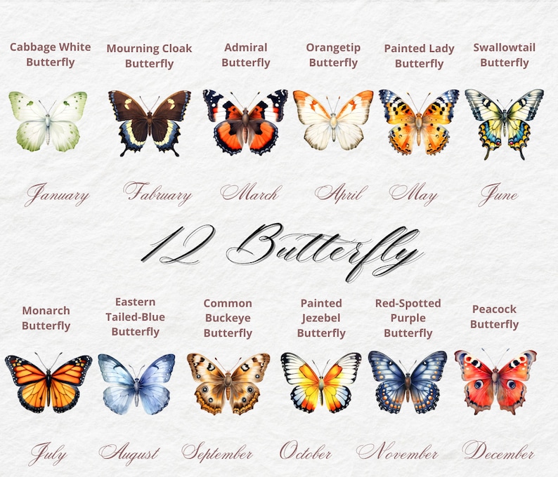 Birth Month Flowers Butterflies Clipart - Antique Floral PNG ...