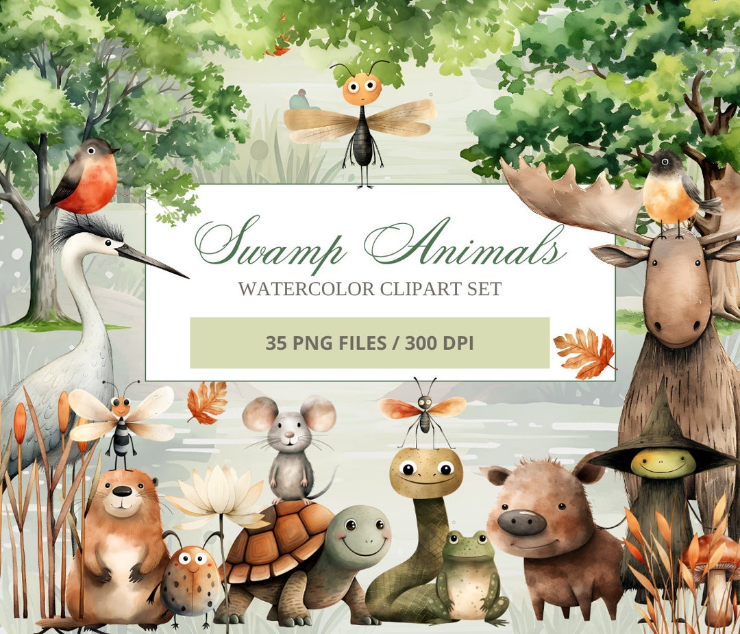 Swamp Animals Watercolor Clipart - Hand-painted Frog, Snake, and Marsh ...