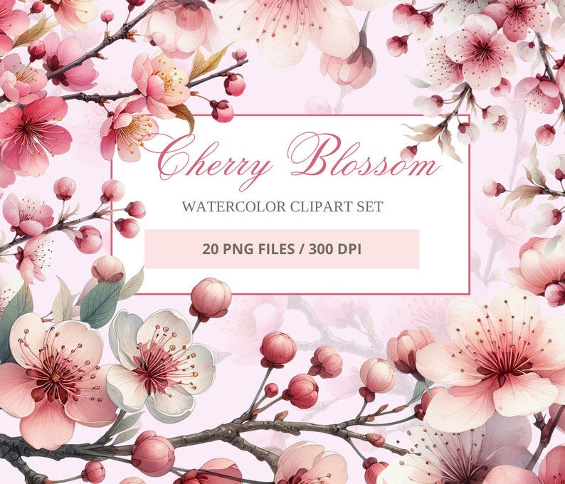 Sakura Blooms Clipart, Watercolor Cherry Blossom PNG, Springtime ...