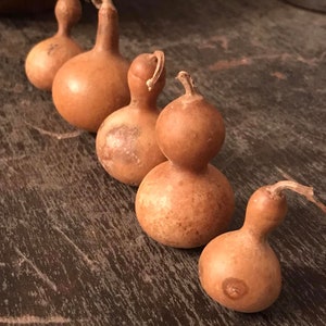 Hard Shell Mini Birdhouse Gourds Rare Gourds Primitive Bowl Filler ...