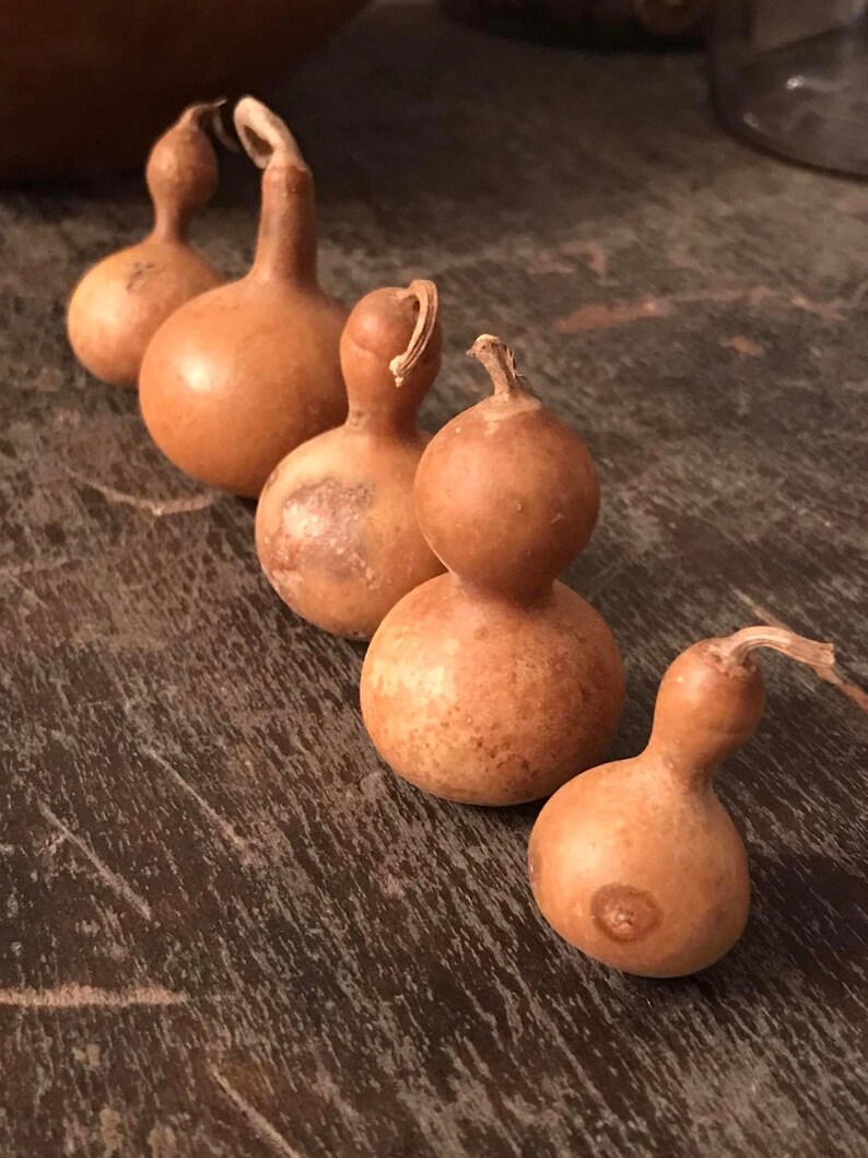 Hard Shell Mini Birdhouse Gourds Rare Gourds Primitive Bowl Filler ...