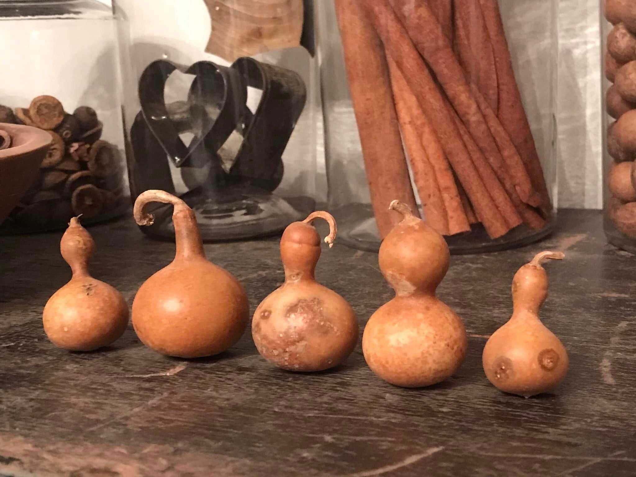 Hard Shell Mini Birdhouse Gourds Rare Gourds Primitive Bowl Filler ...