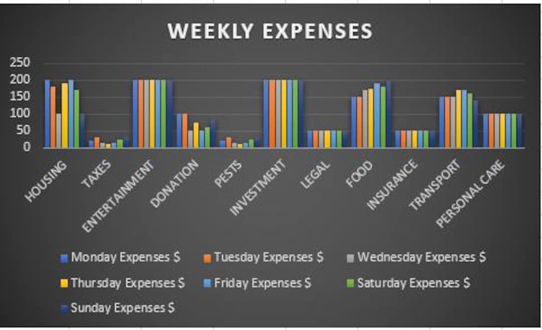 Excel Spreadsheet Weekly & Budget Planner, Organized Monthly Tracker ...