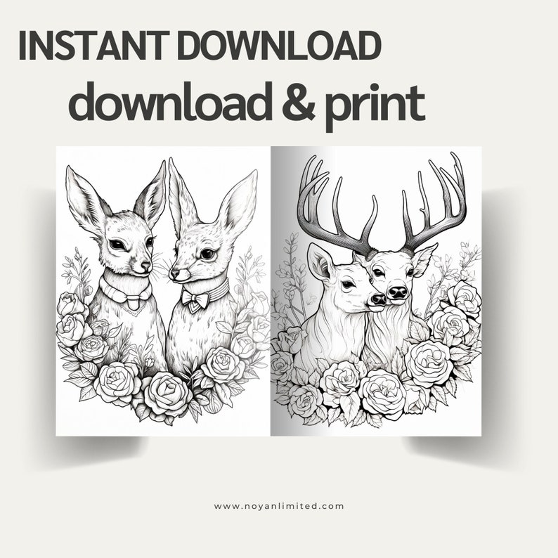 300 Cute Animal Coloring Pages, Kids Activity Book (PDF, JPG, PNG) - Etsy