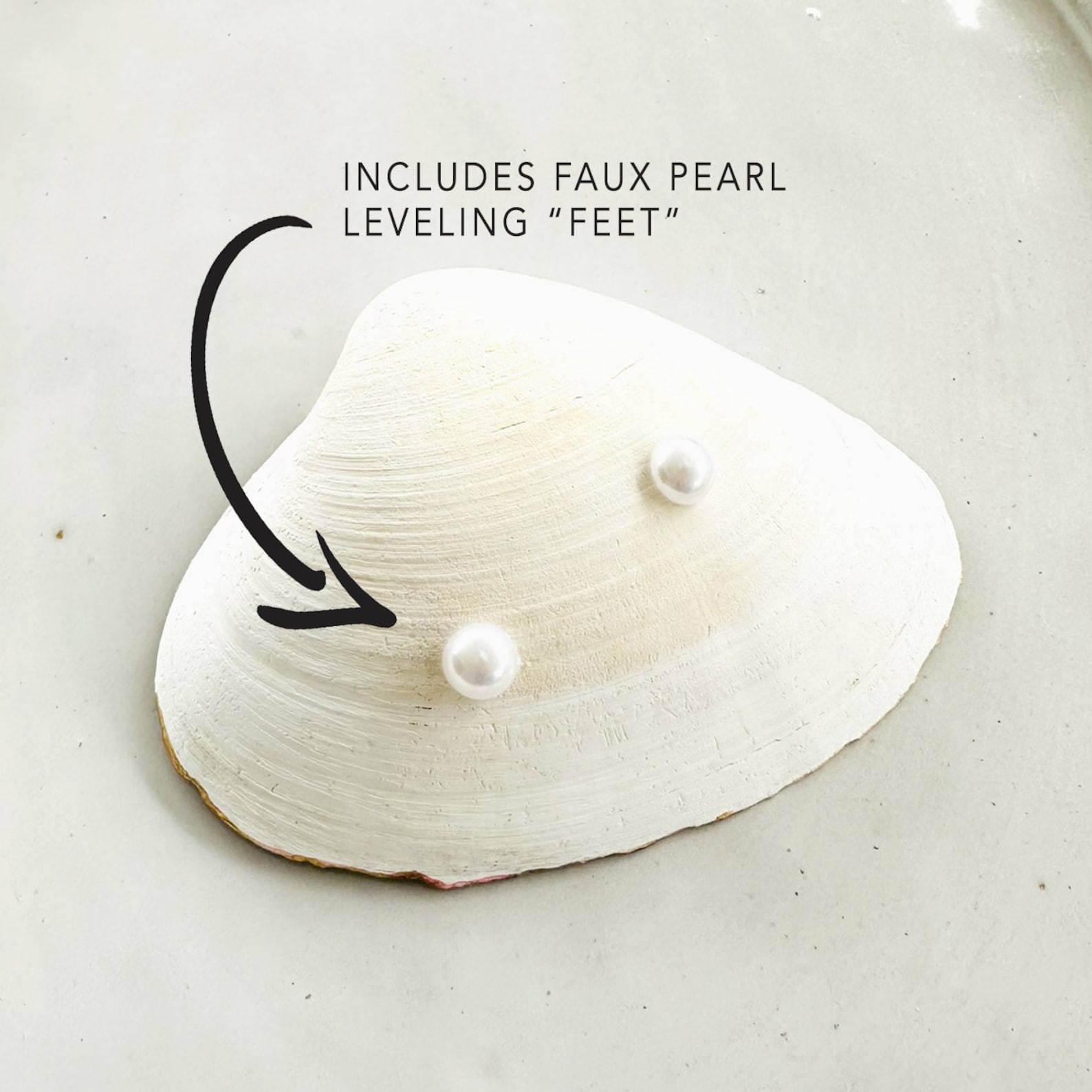 Tropical Sea Turtle Clam Shell Ring Dish With Gold or Silver Gilded ...