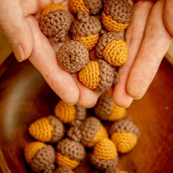 Acorns - Etsy