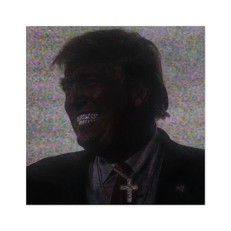 Trump With Grills - Etsy