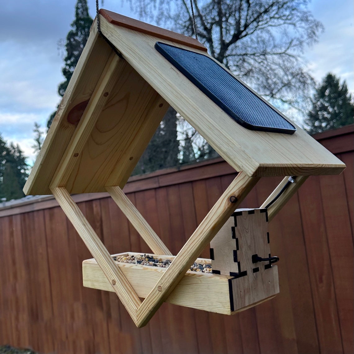 Camera-ready Bird Feeder (optional Solar Panel) - Etsy