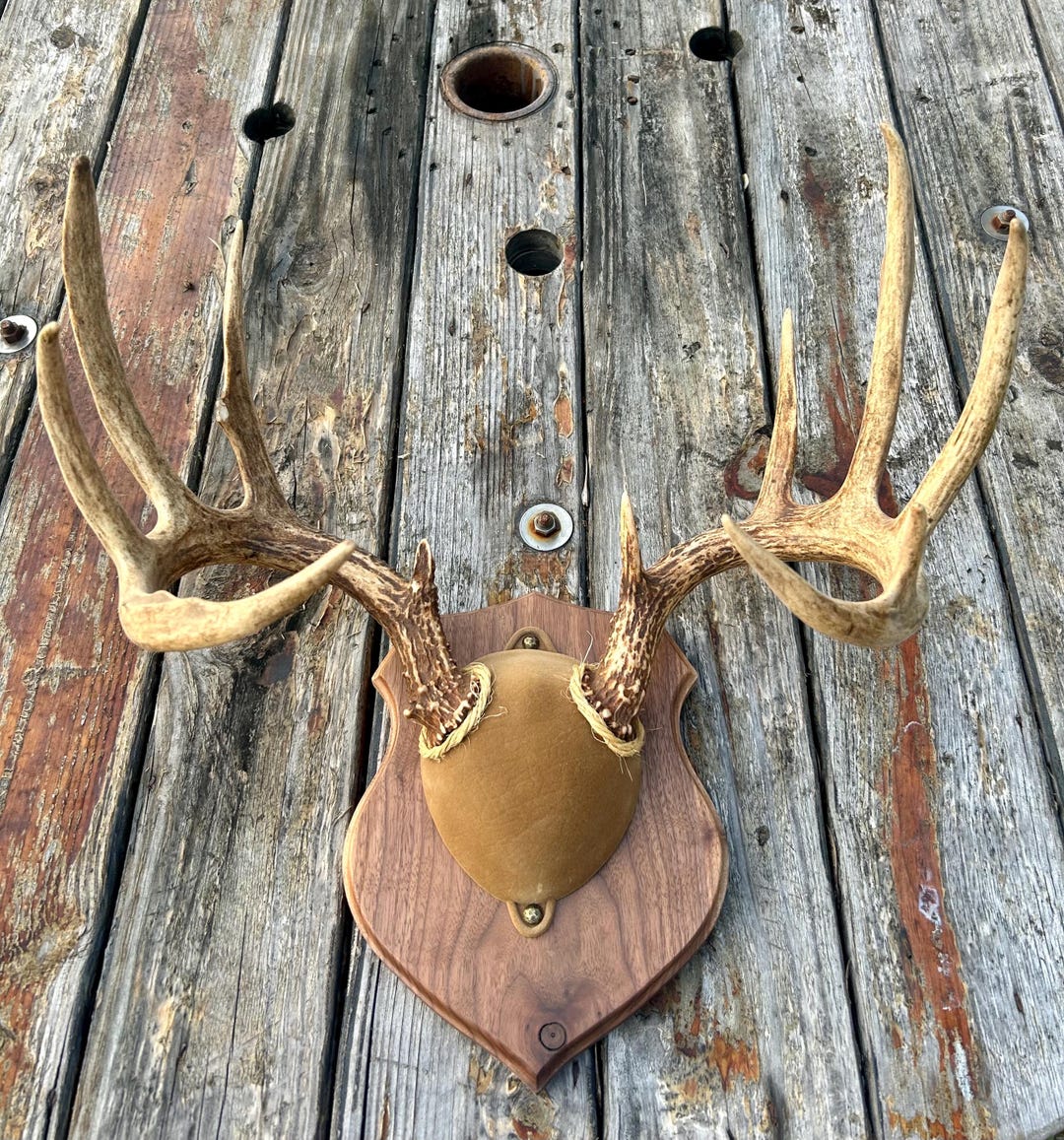 Deer Antler Mounting Plaque - Etsy