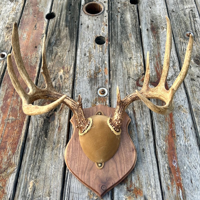 Deer Plaque Mounting Kit - Etsy
