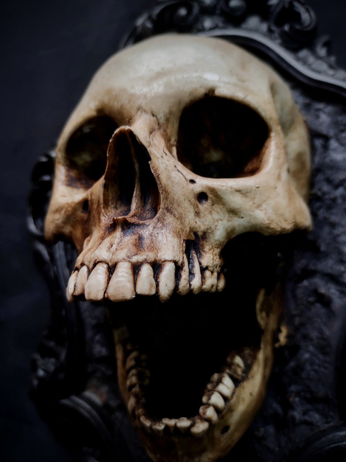 Spectral With Ema's Skull Gothic Art, Realistic Resin Sculpture - Etsy