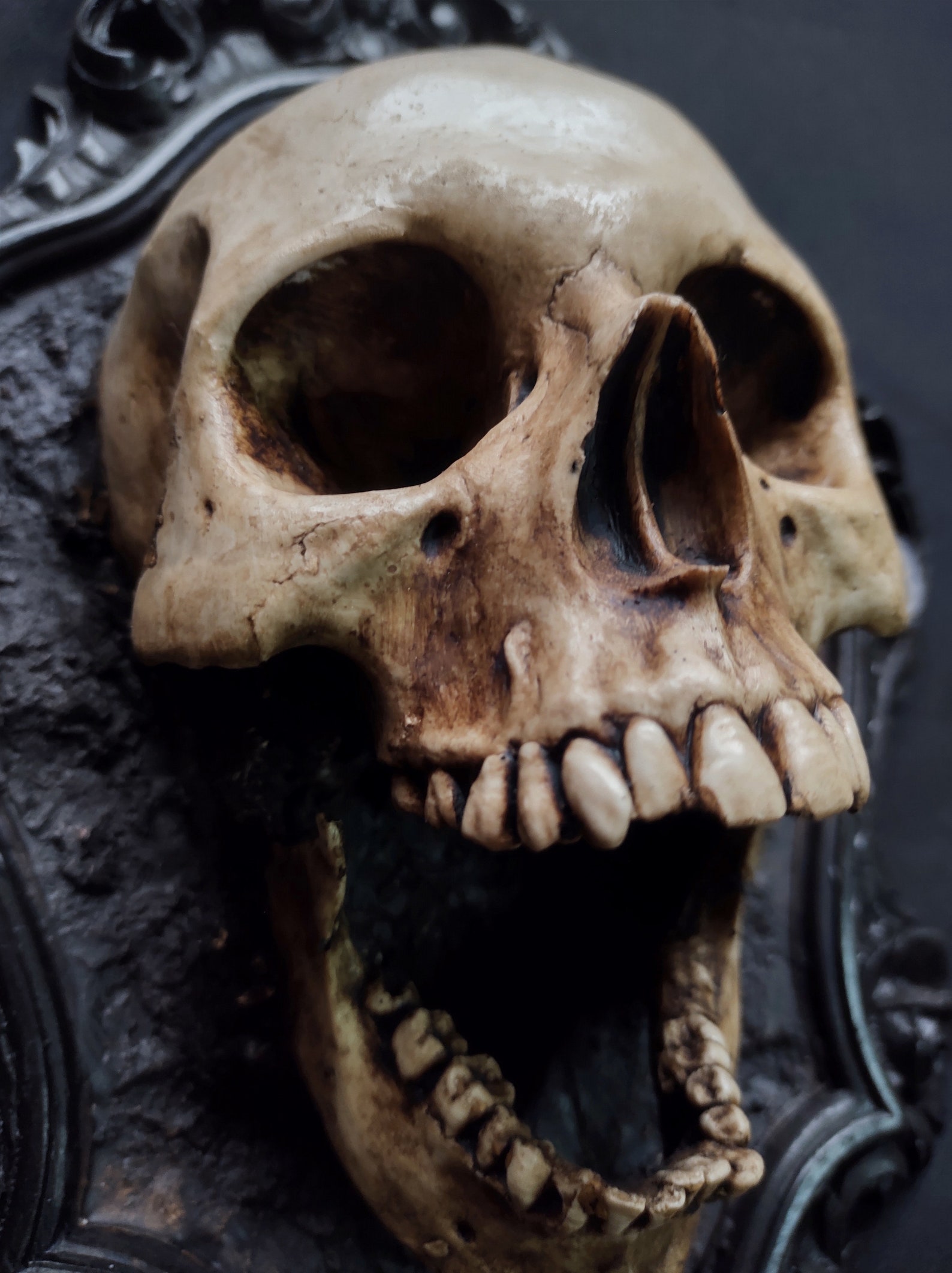 Spectral With Ema's Skull Gothic Art, Realistic Resin Sculpture - Etsy