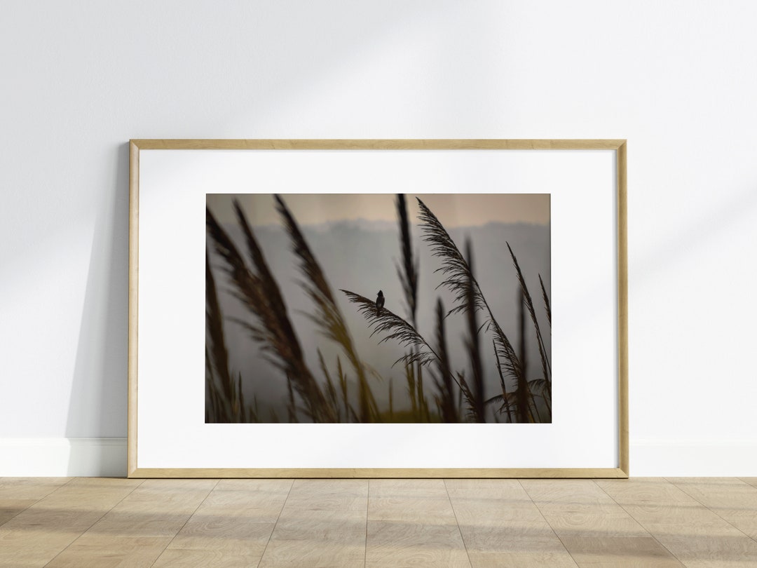 Nepal Safari Grass Print Photo - Landscape and Wildlife Photography ...
