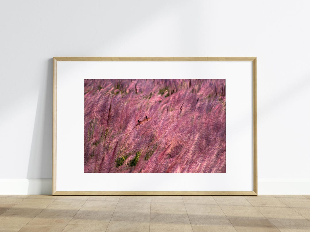 Nepal Safari Photo Print - Landscape Photography Prints by Jackson ...