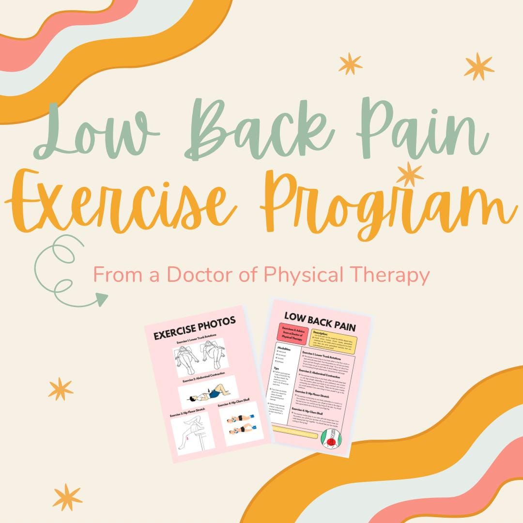 Low Back Pain Exercise Program Made by a Physical Therapist - Etsy