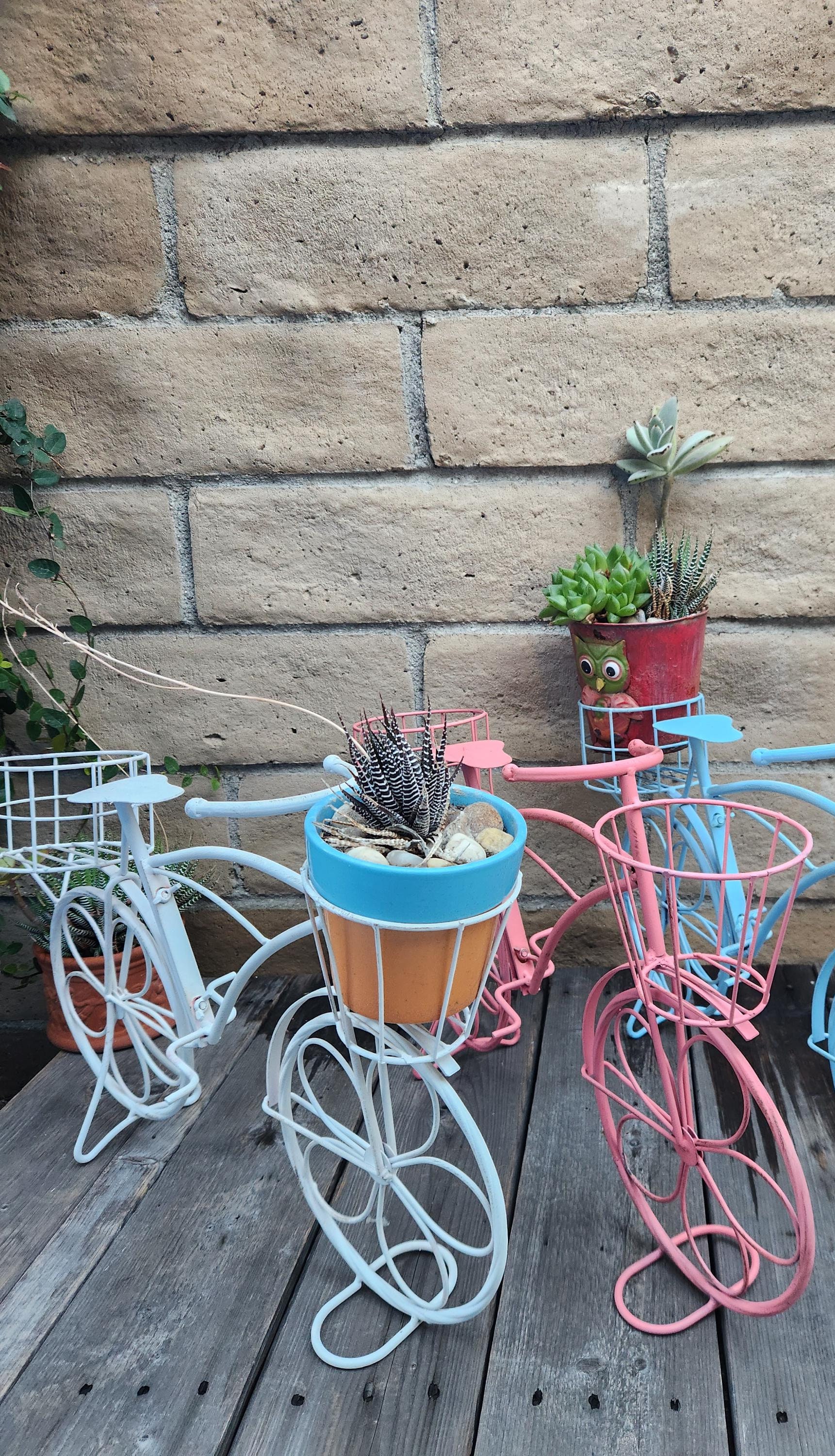 21.25 Length, Farmhouse Table Top Bike Planter, Garden Decor, CHOOSE ...