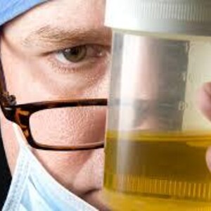 The Business of DOT Urine Specimen Collection - Etsy