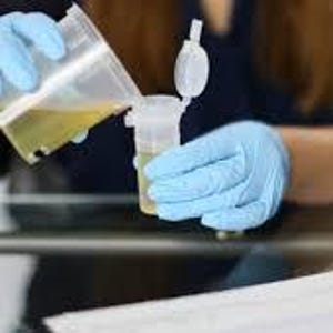 The Business of DOT Urine Specimen Collection - Etsy