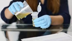 The Business of DOT Urine Specimen Collection - Etsy