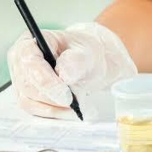 The Business of DOT Urine Specimen Collection - Etsy