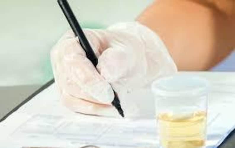 The Business of DOT Urine Specimen Collection - Etsy