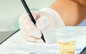 The Business of DOT Urine Specimen Collection - Etsy