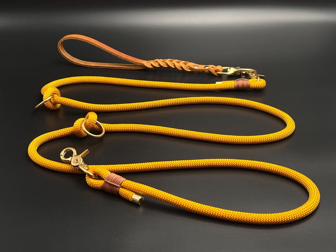 Dog Leash, Rope PPM, Hand Loop, Braided Leather, Swivel, for Small and ...