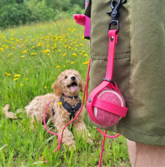 Dog Ball Carrier