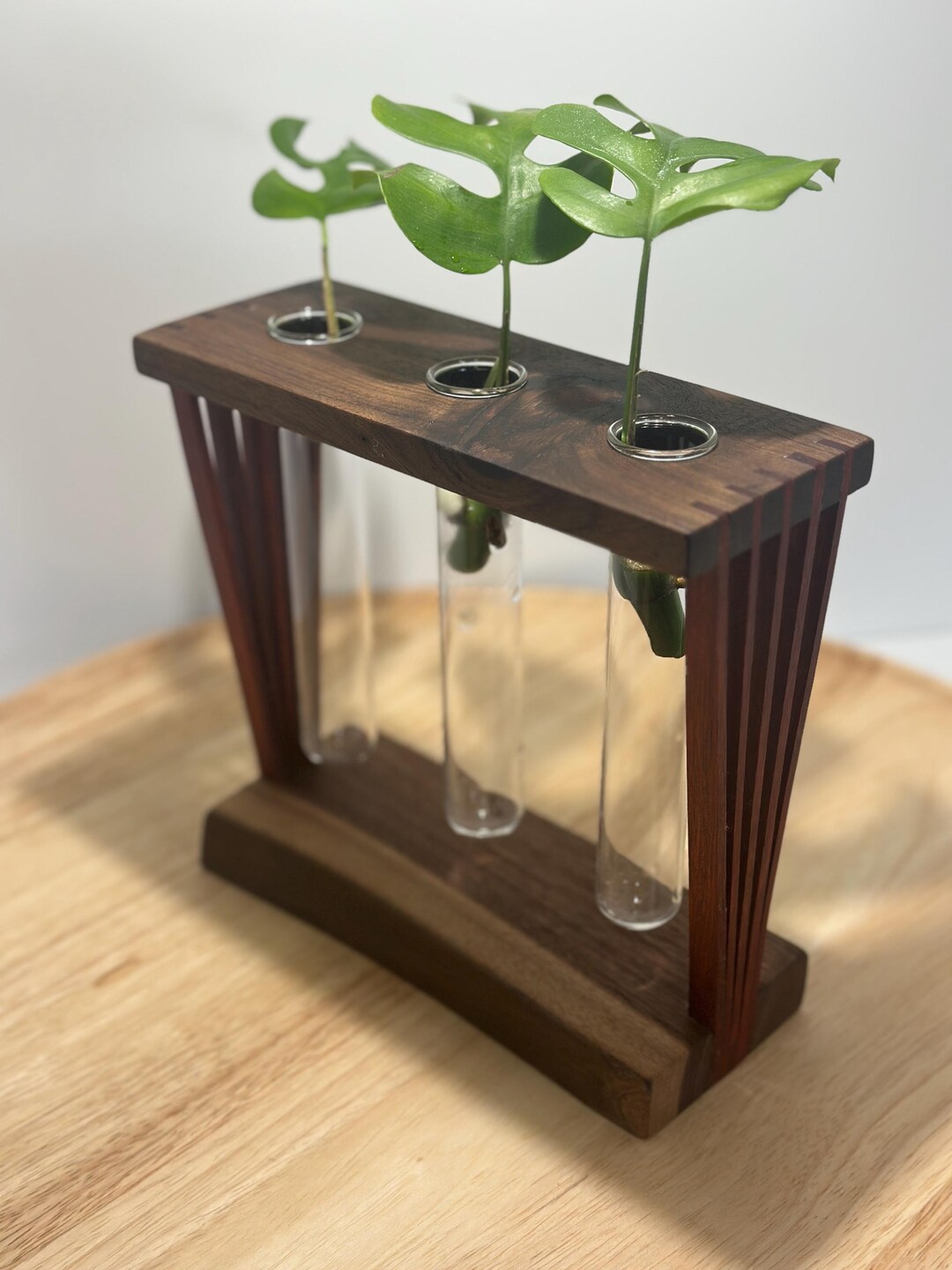 Custom Walnut Propagation Station - Etsy
