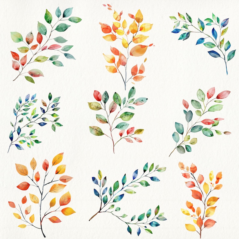 Colorful Leaf Branches Clipart. Foliage, Leaves, Branch With Leaves. 27 ...