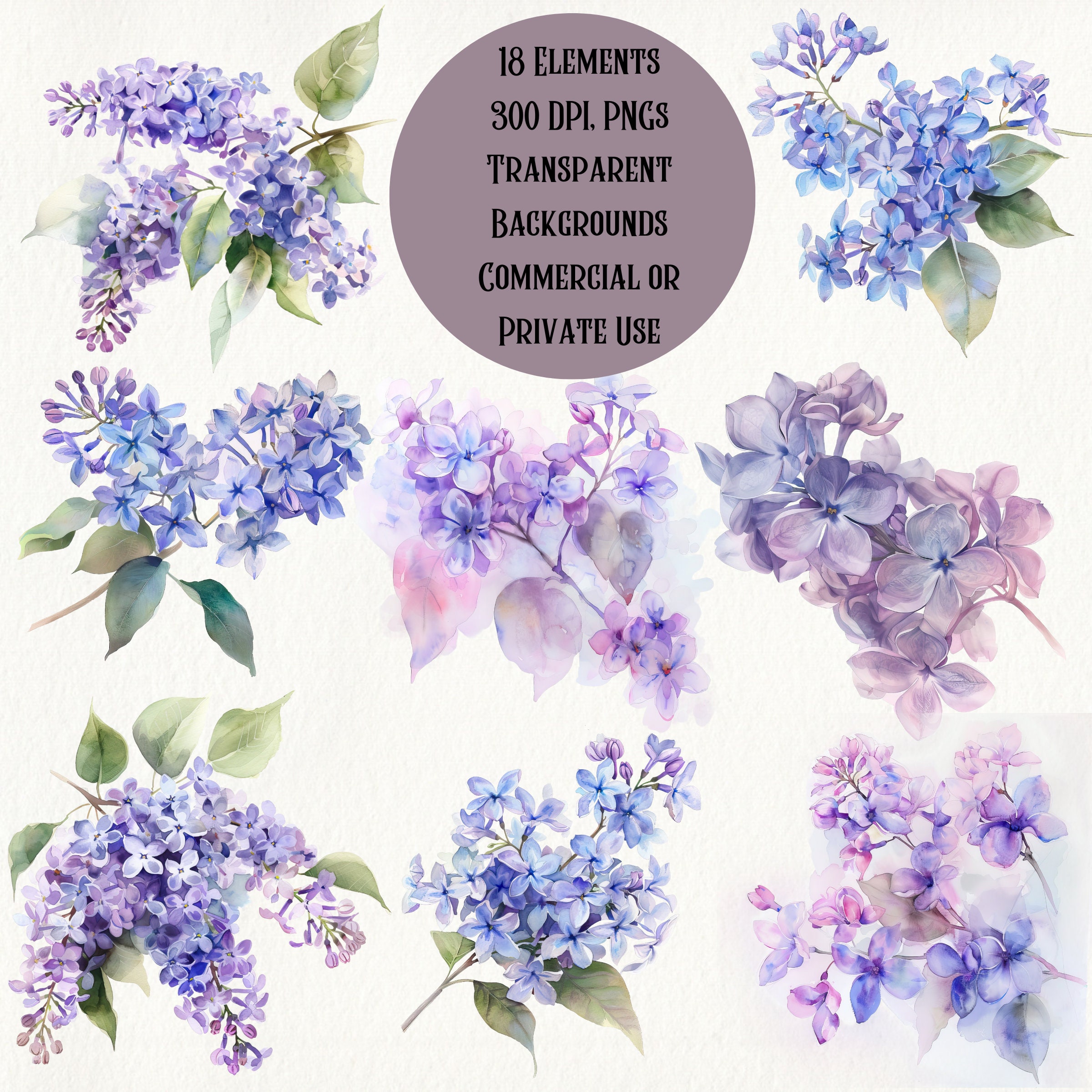 Lilac Blooms Clipart, 18 Images, 300 DPI, Pngs, Instant Download ...