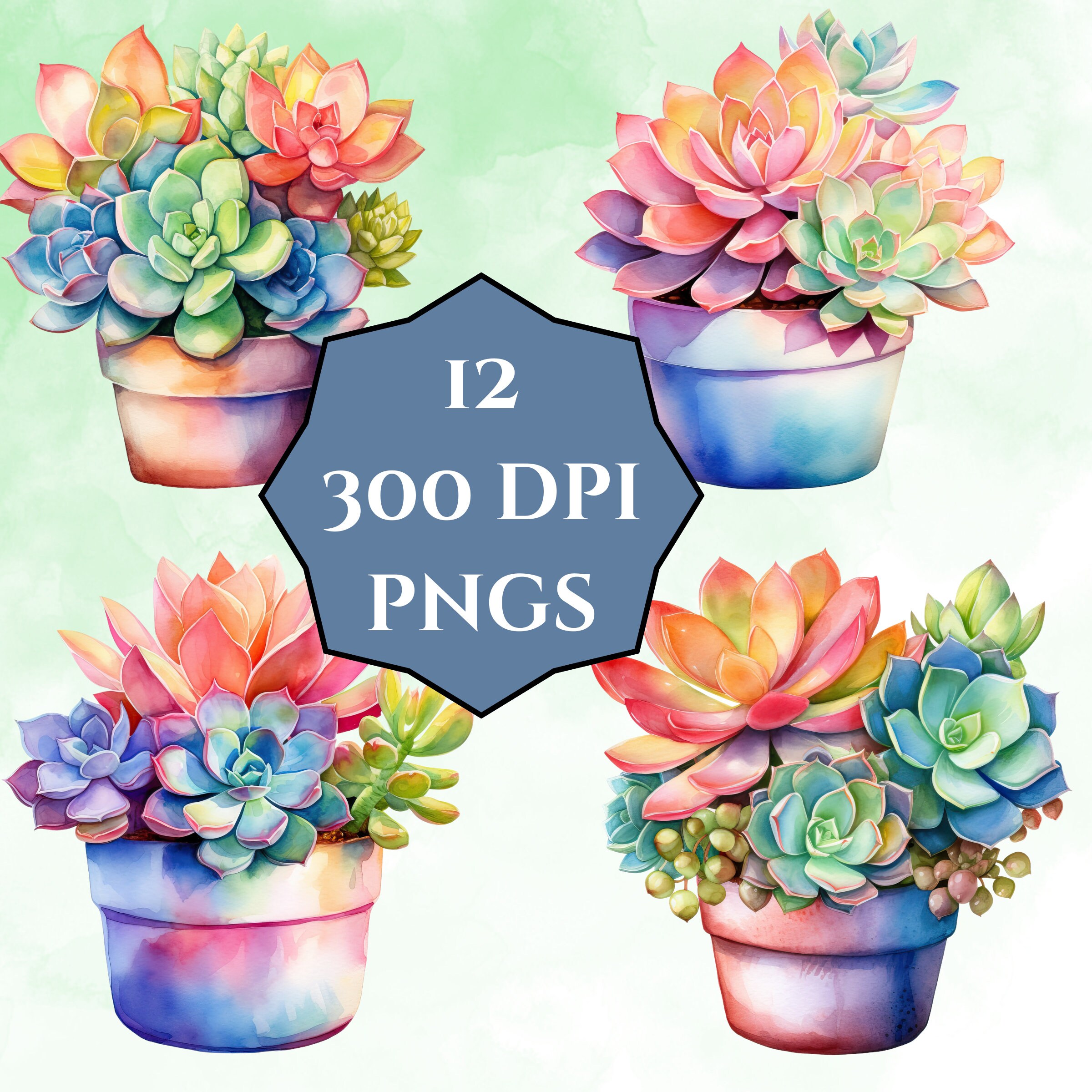 Adorable Succulents in Colorful Pots. Transparent Backgrounds, 300 DPI ...
