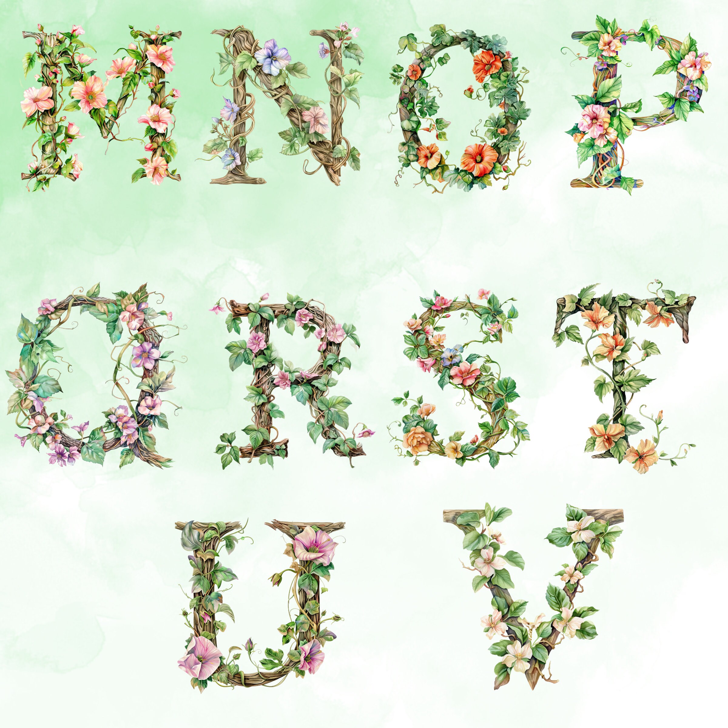 Vine Alphabet Clipart. 26 Transparent Images, 300 DPI, Pngs, Instant ...