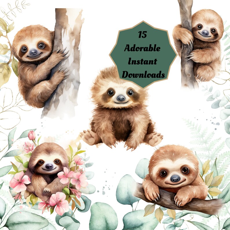 Baby Sloth Clipart Pack. 15 Adorable Baby Sloth Images, 300 DPI Pngs ...