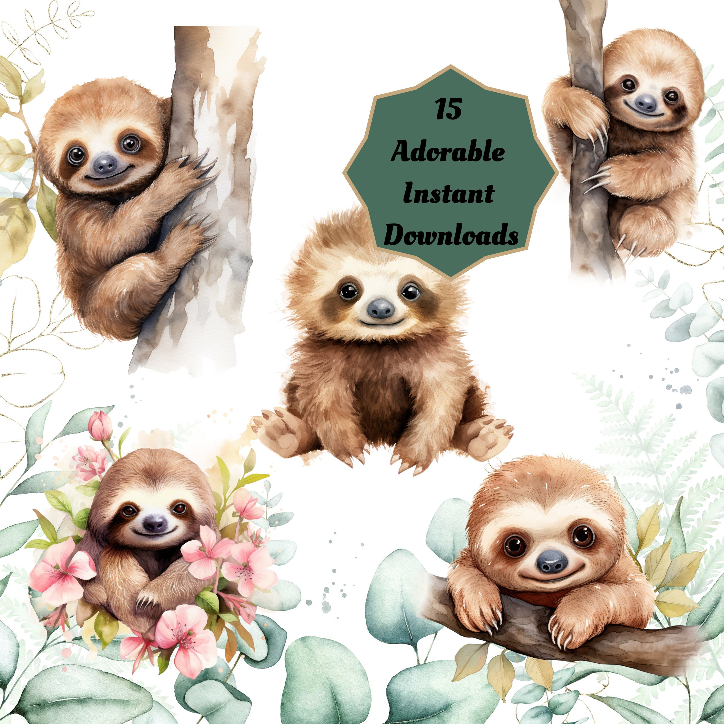 Baby Sloth Clipart Pack. 15 Adorable Baby Sloth Images, 300 DPI Pngs ...