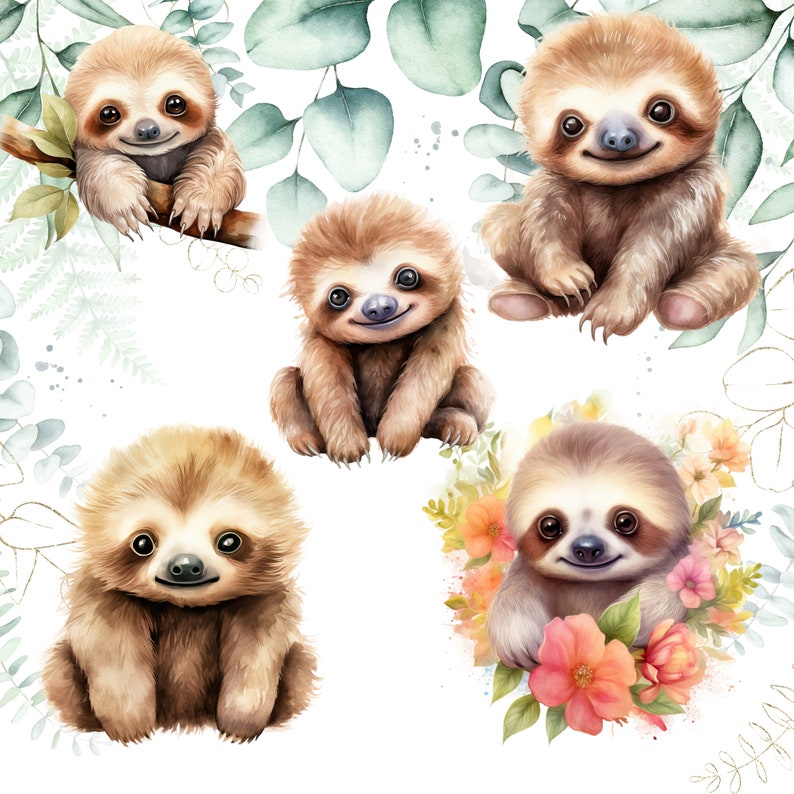Baby Sloth Clipart Pack. 15 Adorable Baby Sloth Images, 300 DPI Pngs ...
