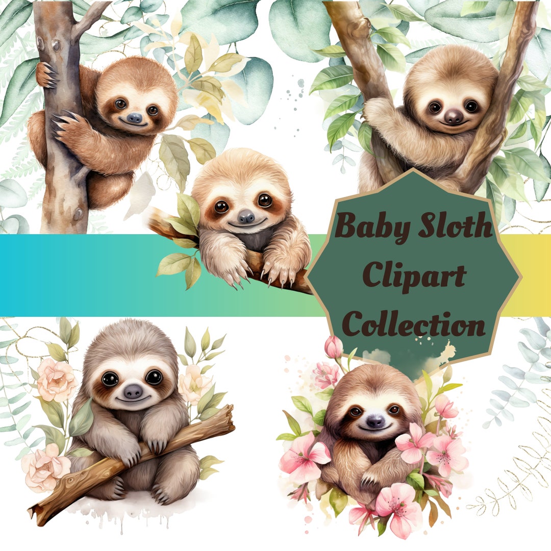 Baby Sloth Clipart Pack. 15 Adorable Baby Sloth Images, 300 DPI Pngs ...