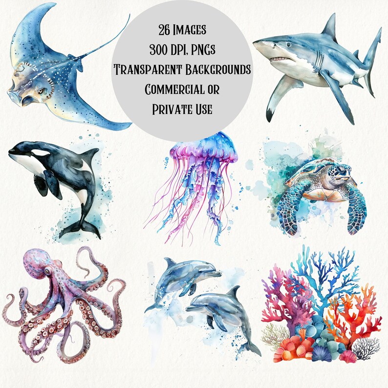 Sea Life Clipart! Whales, Sharks, Orcas, Dolphins and More. 300 DPI ...