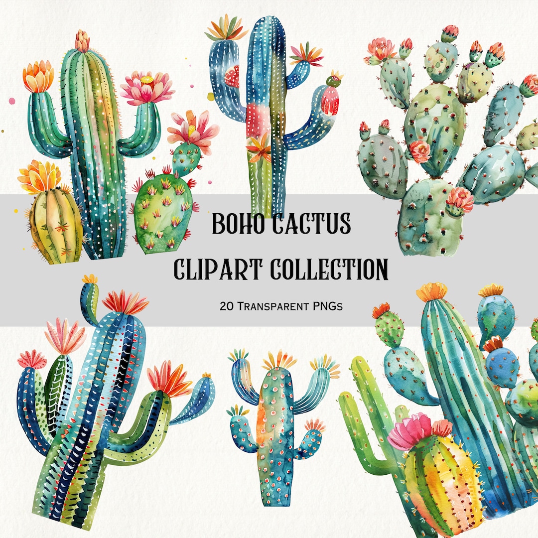 Boho Cactus Clipart. 20 Images, 300 DPI, Pngs, Instant Download ...