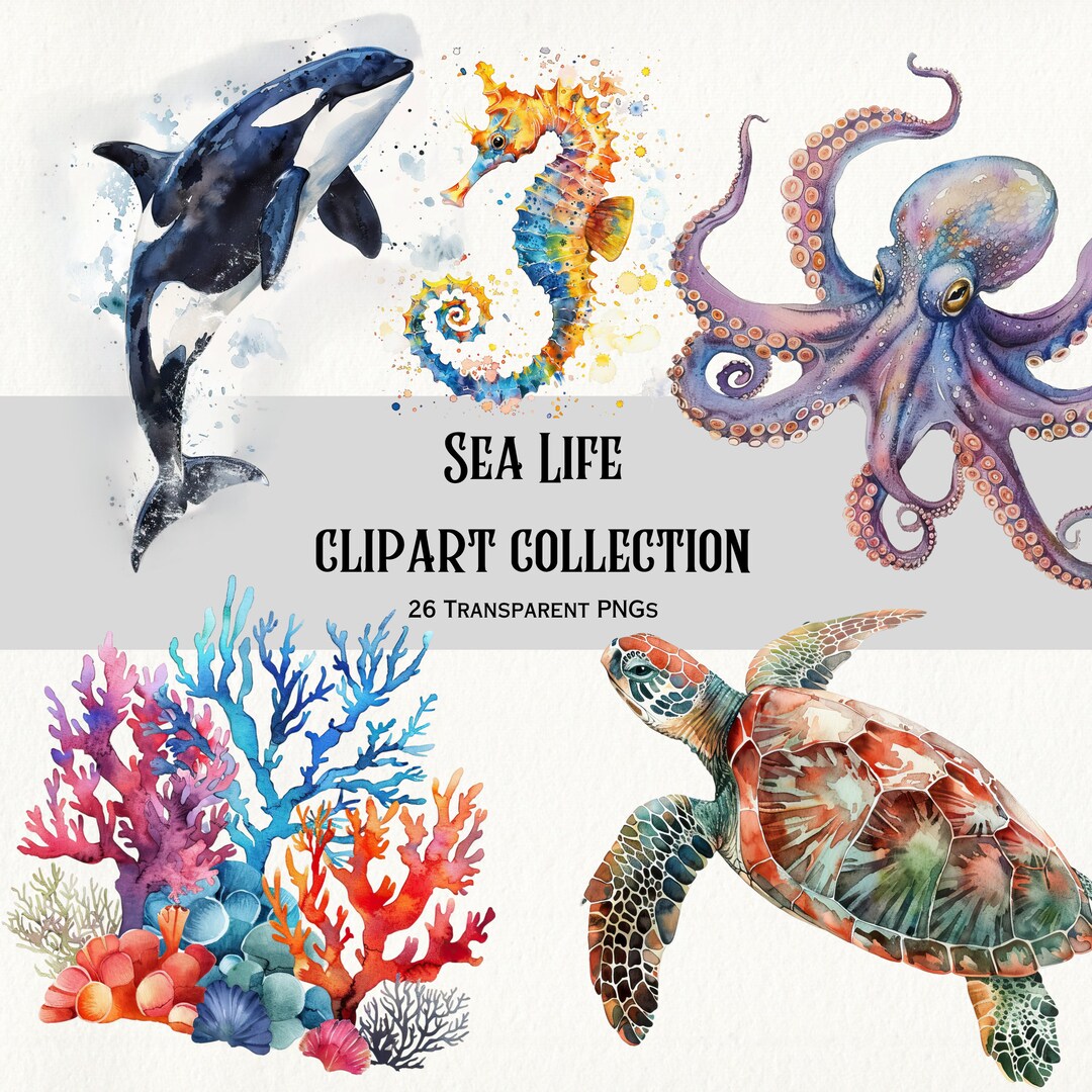 Sea Life Clipart! Whales, Sharks, Orcas, Dolphins and More. 300 DPI ...