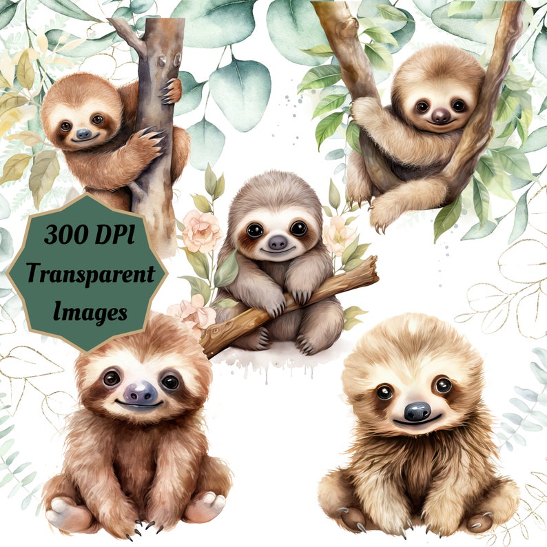 Baby Sloth Clipart Pack. 15 Adorable Baby Sloth Images, 300 DPI Pngs ...