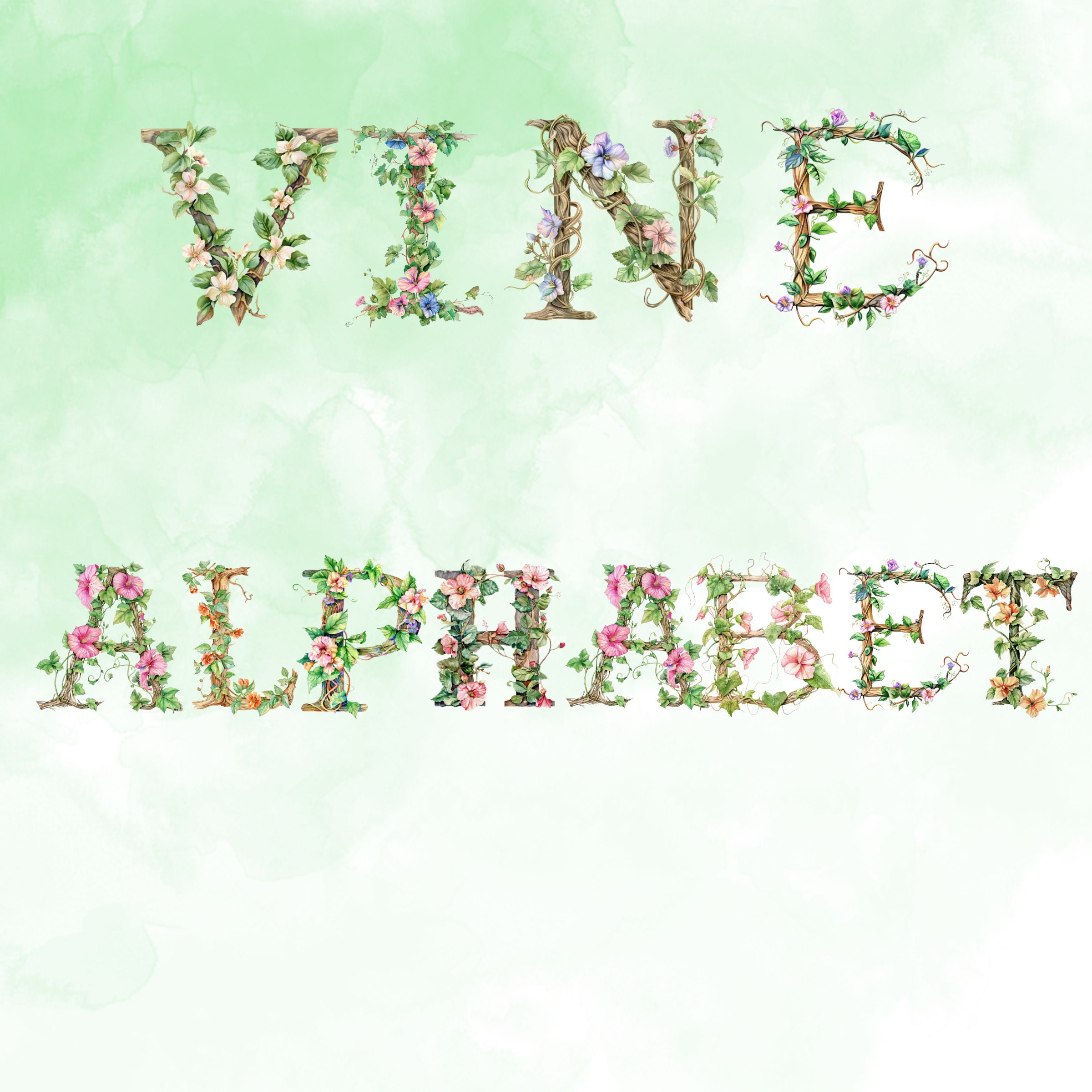 Vine Alphabet Clipart. 26 Transparent Images, 300 DPI, Pngs, Instant ...