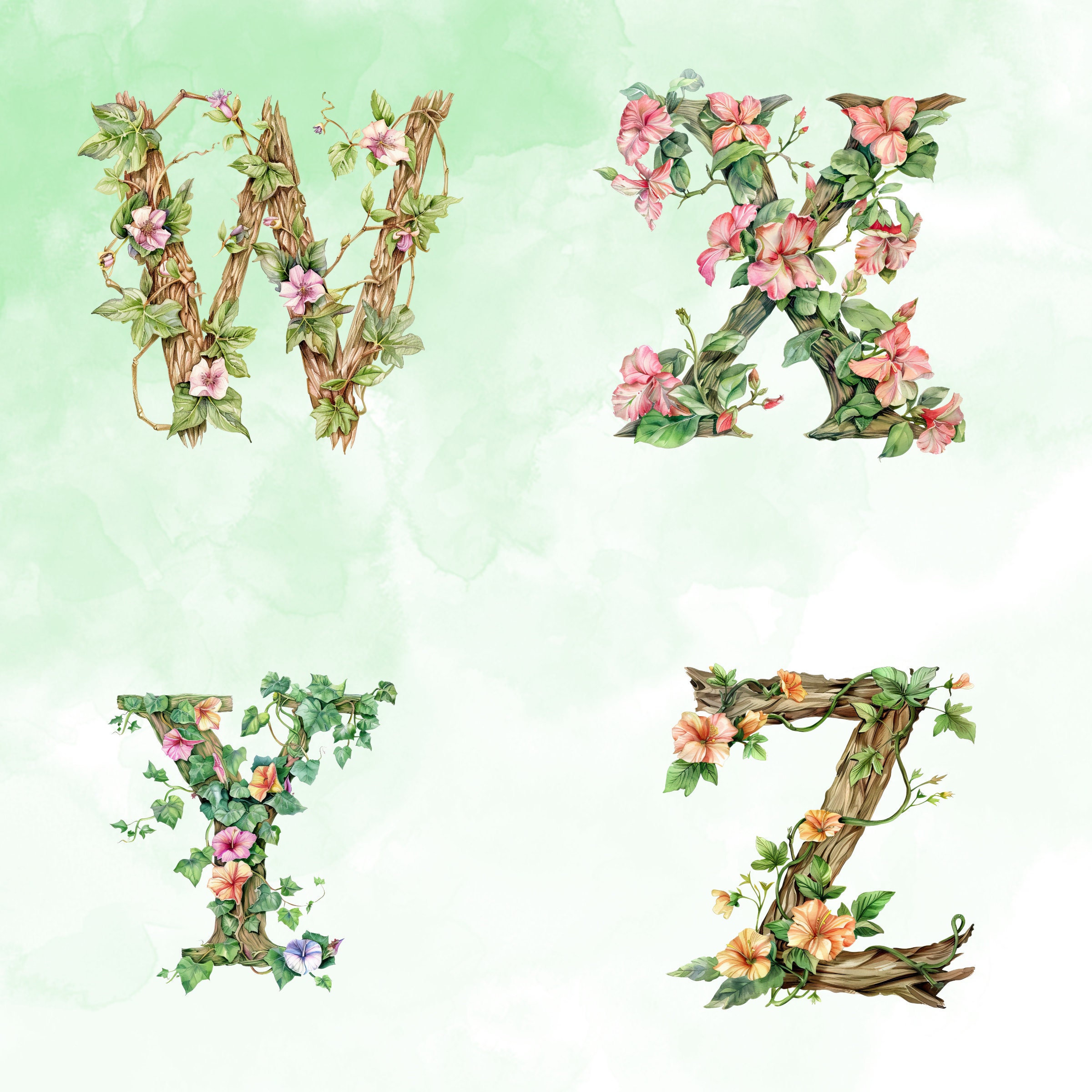 Vine Alphabet Clipart. 26 Transparent Images, 300 DPI, Pngs, Instant ...
