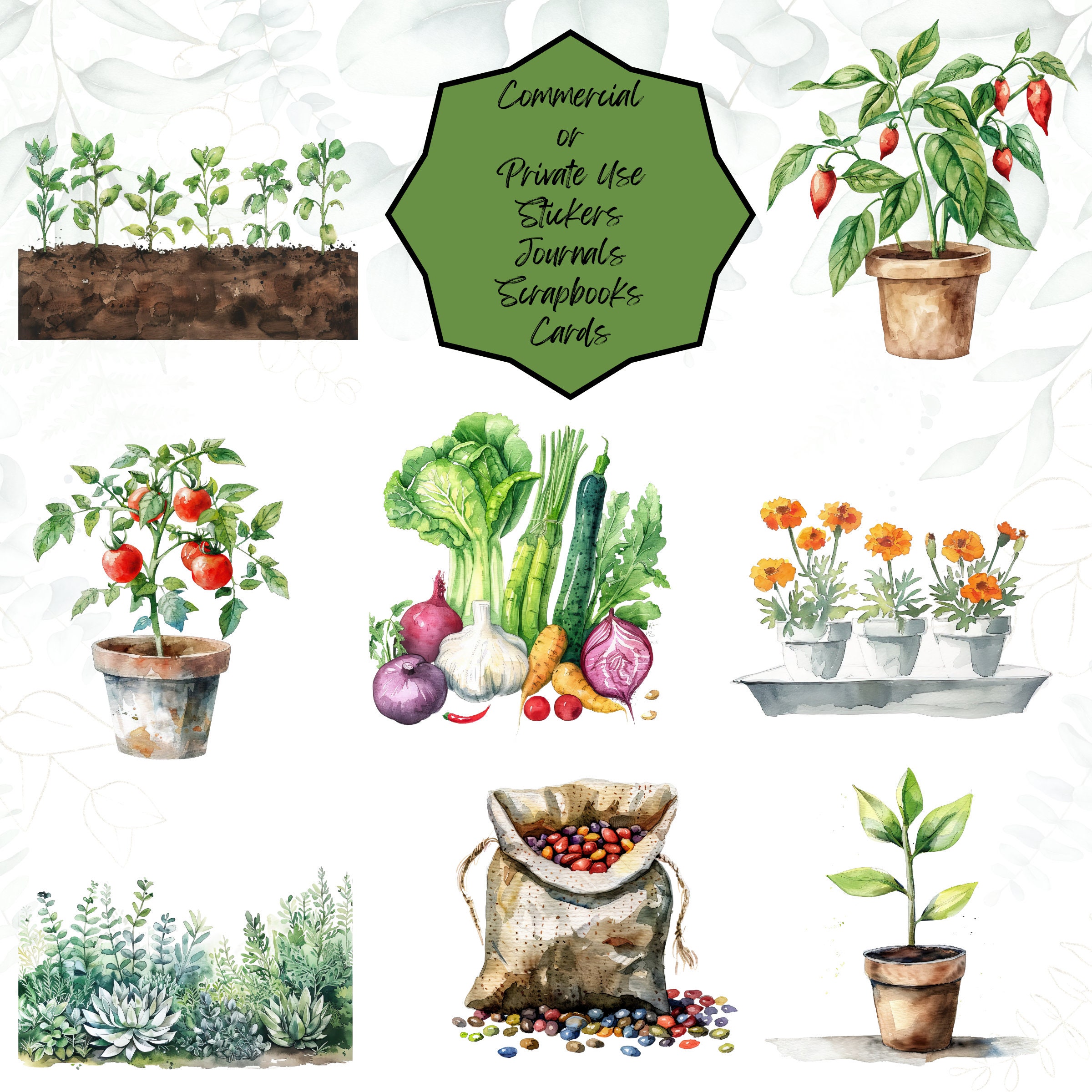 Gardening Clipart! Spring Fun, Plants, Flowers, Vegetables, Seeds ...