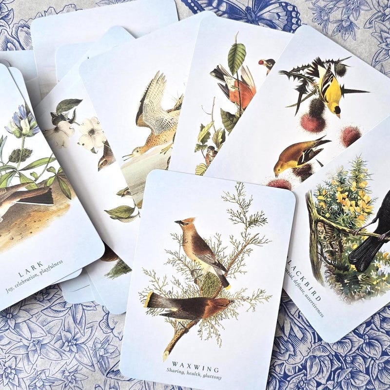 Bird Oracle Cards - Etsy