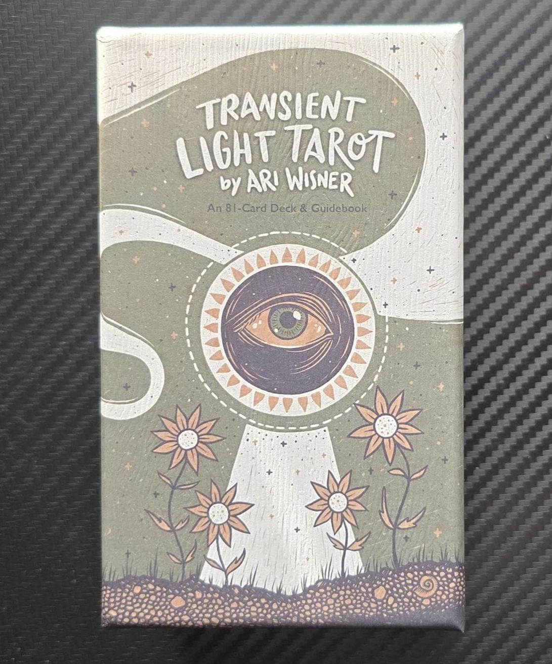 Transient Light Tarot Deck, 78+3 Card Set With Guidebook and Poems ...