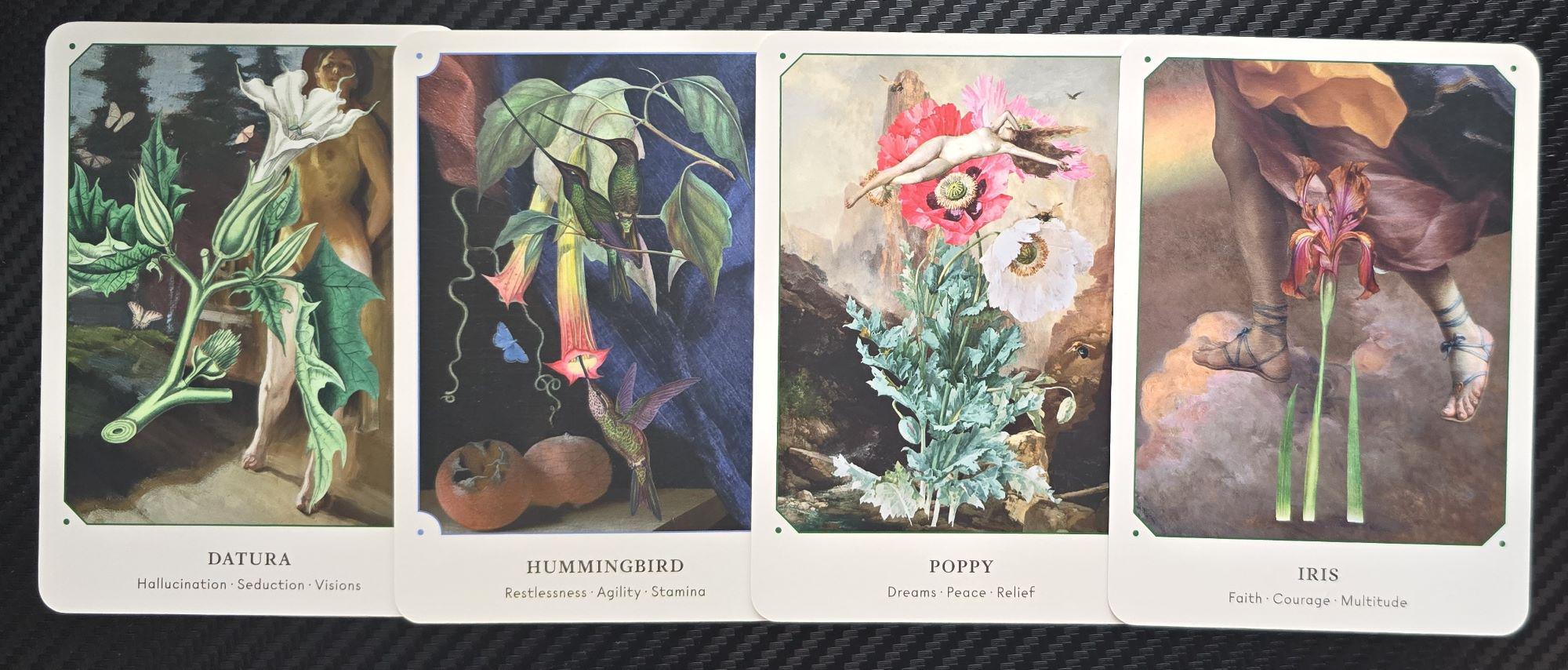 The Flower Oracle Deck, Oracle Cards, Indie Oracle Deck, Botanical ...